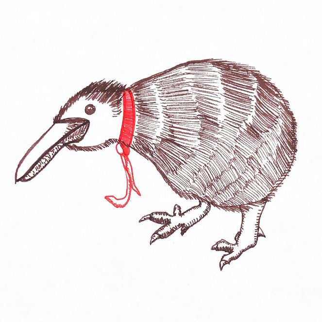 Mango's profile - E-Pal