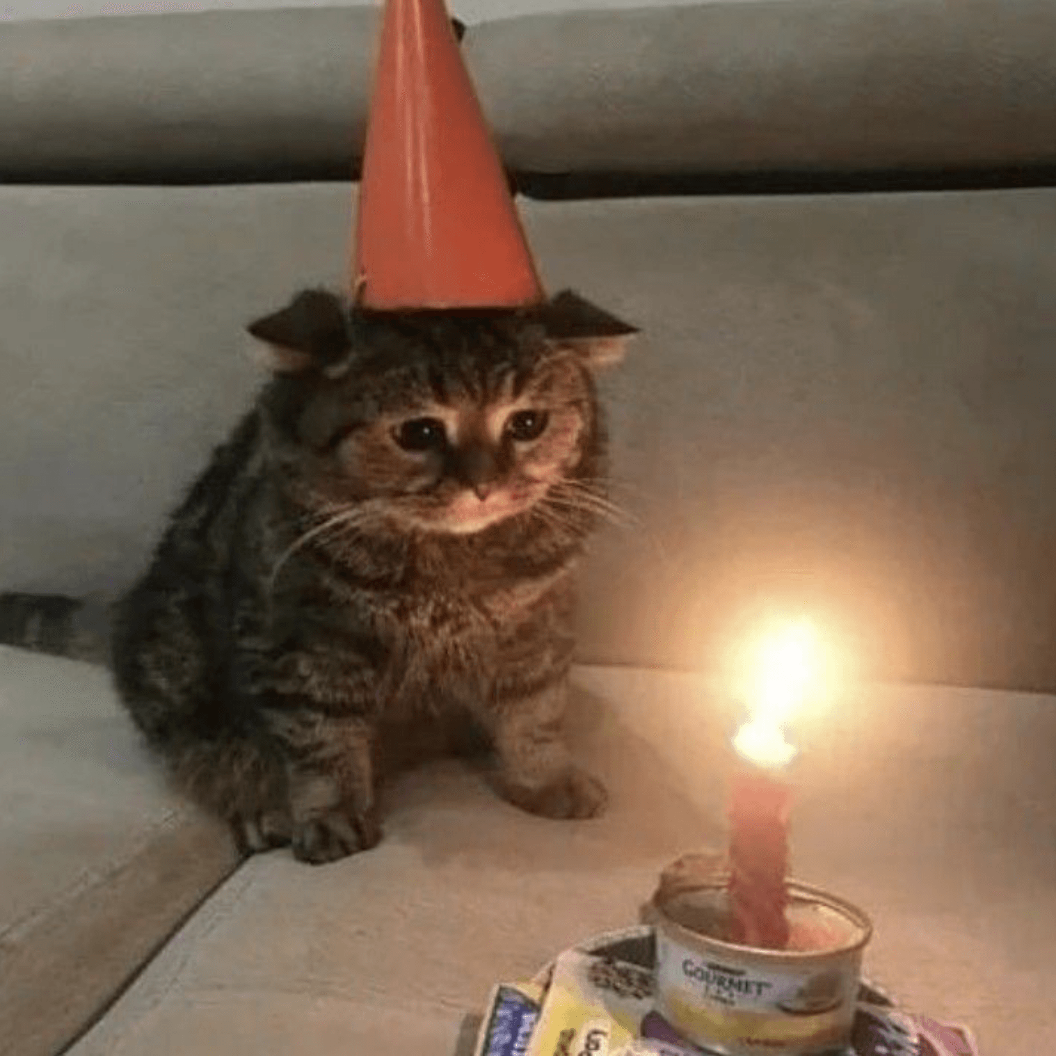 iNano's profile - E-Pal