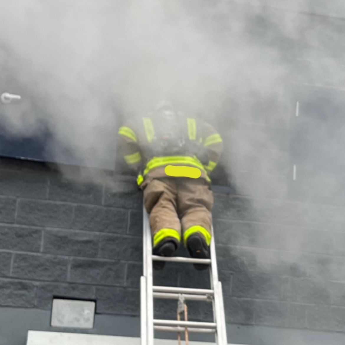 vawwi's profile - E-Pal