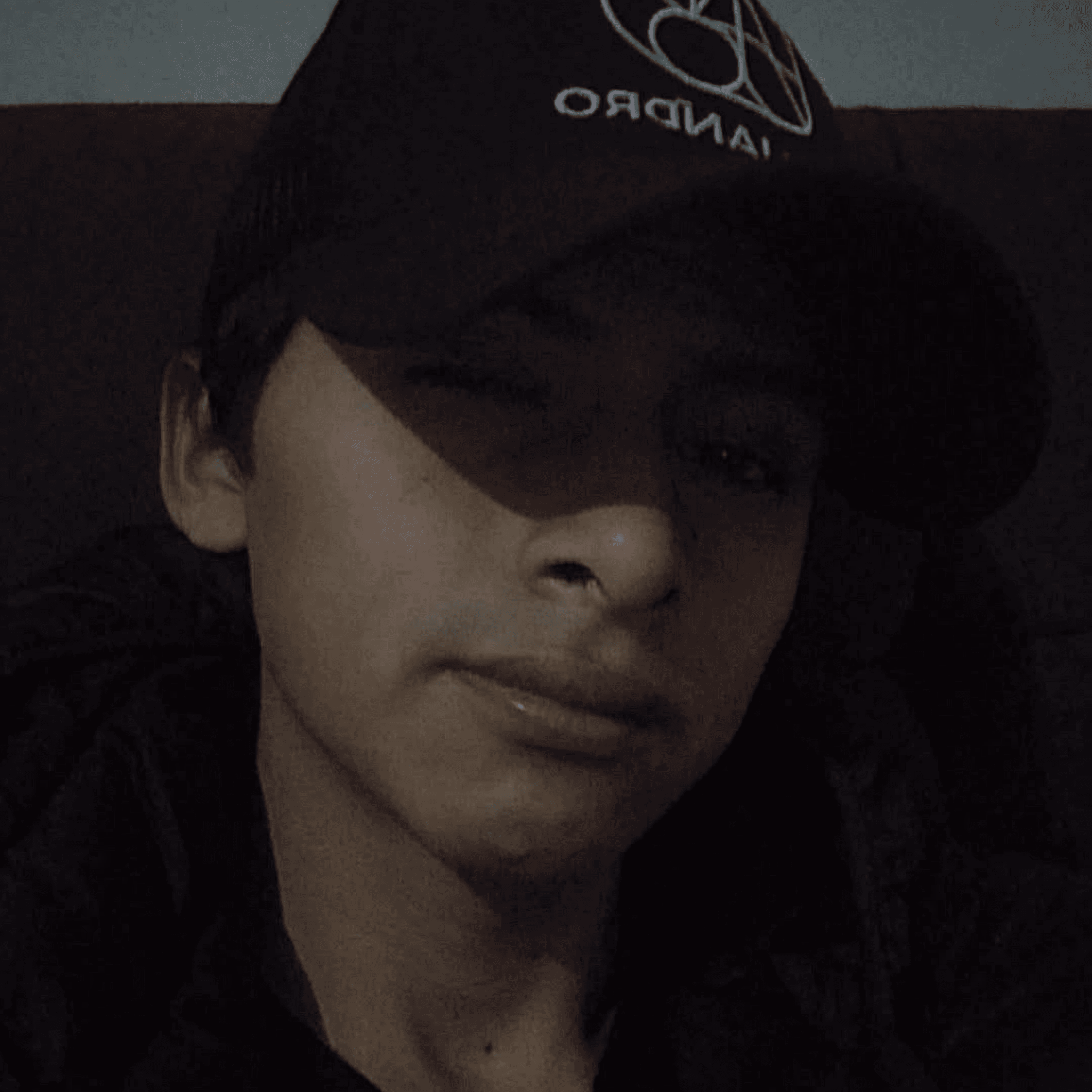 INK_LION_SG's profile - E-Pal