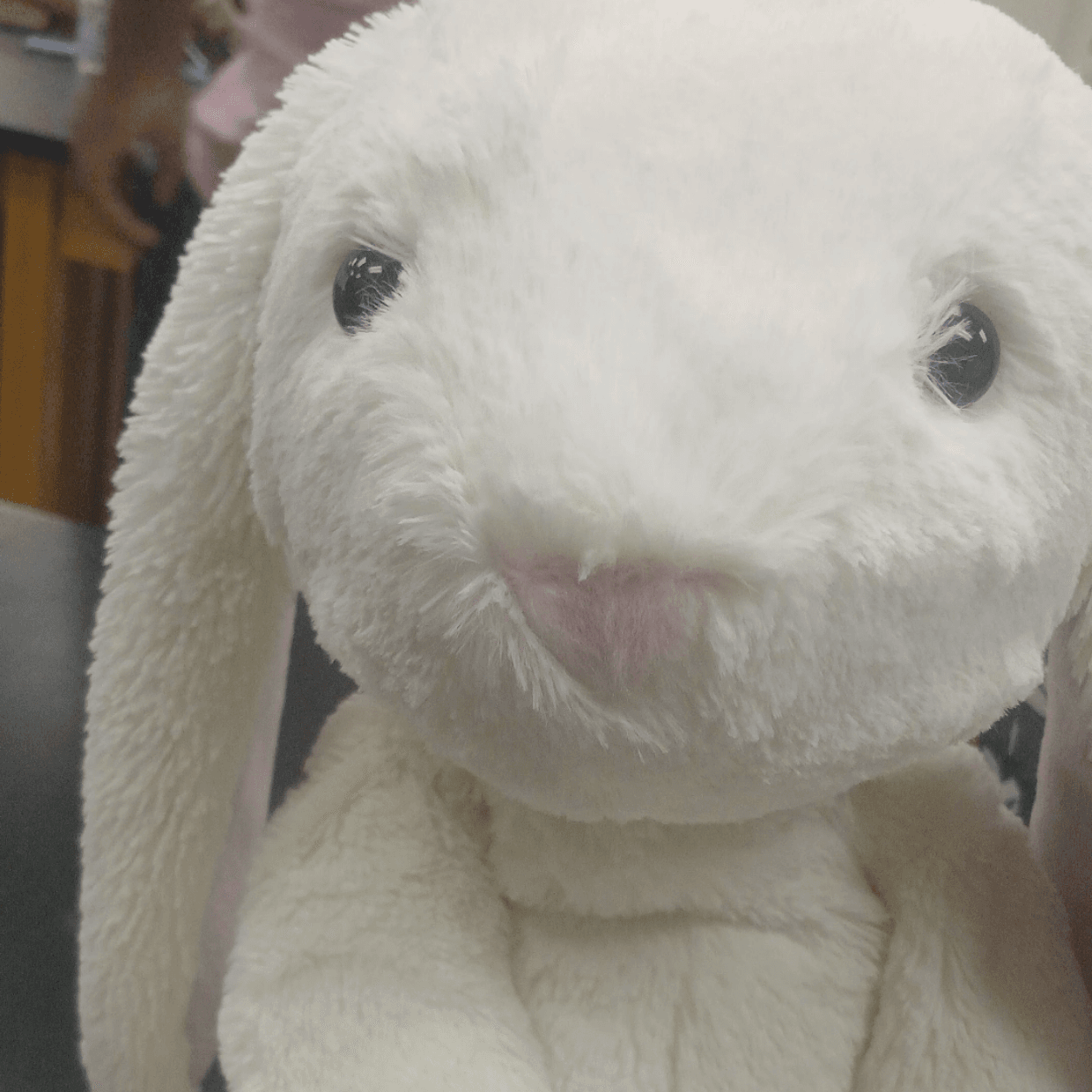 bunny_va's profile - E-Pal