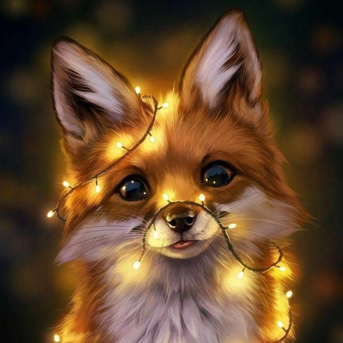 Jansey's profile - E-Pal