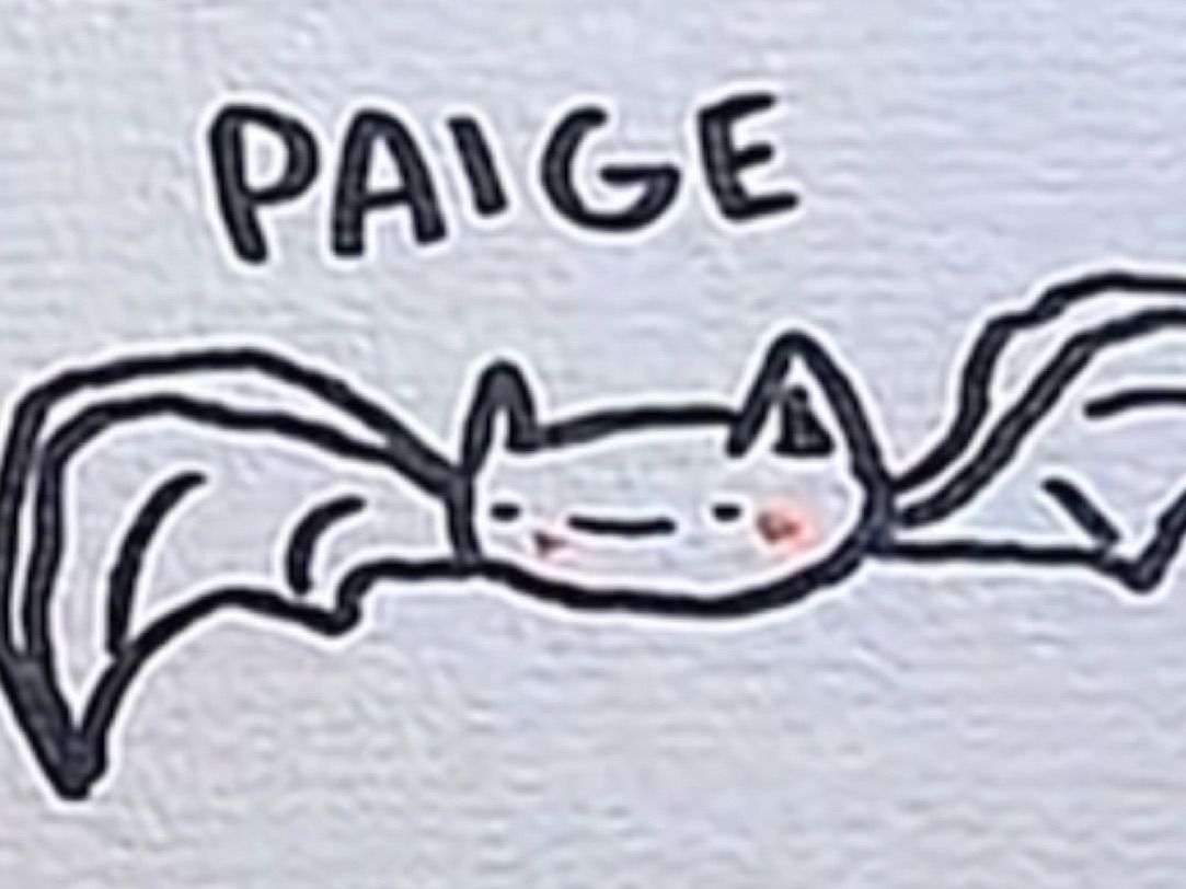 Paige-Sky's profile - E-Pal