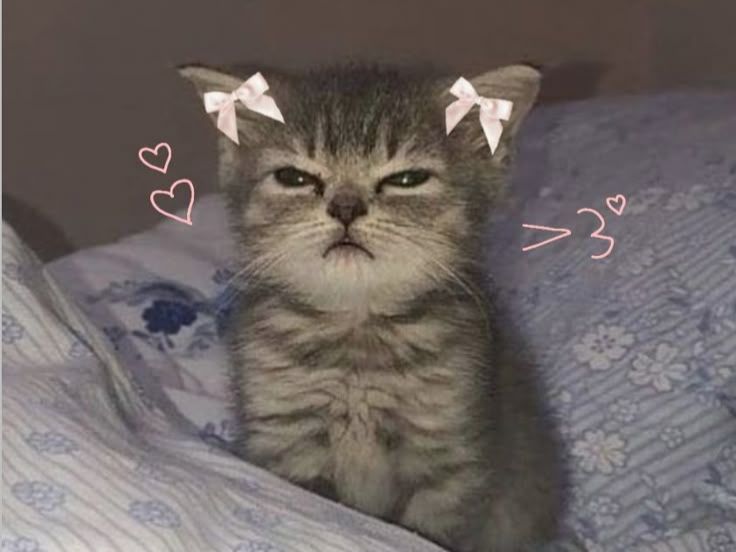 purupurin's profile - E-Pal